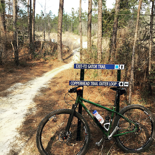 Brunswick Nature Park Mountain Bike Trails | Trailforks